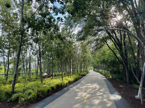 The 606 Chicago | Discover Its History, Location, & More